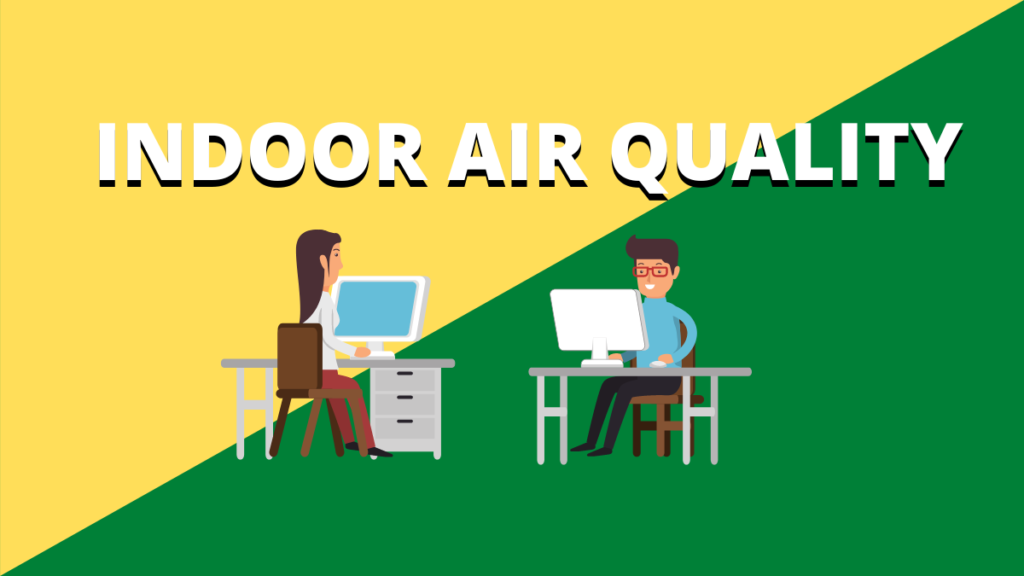 5 Easy ways to improve indoor air quality