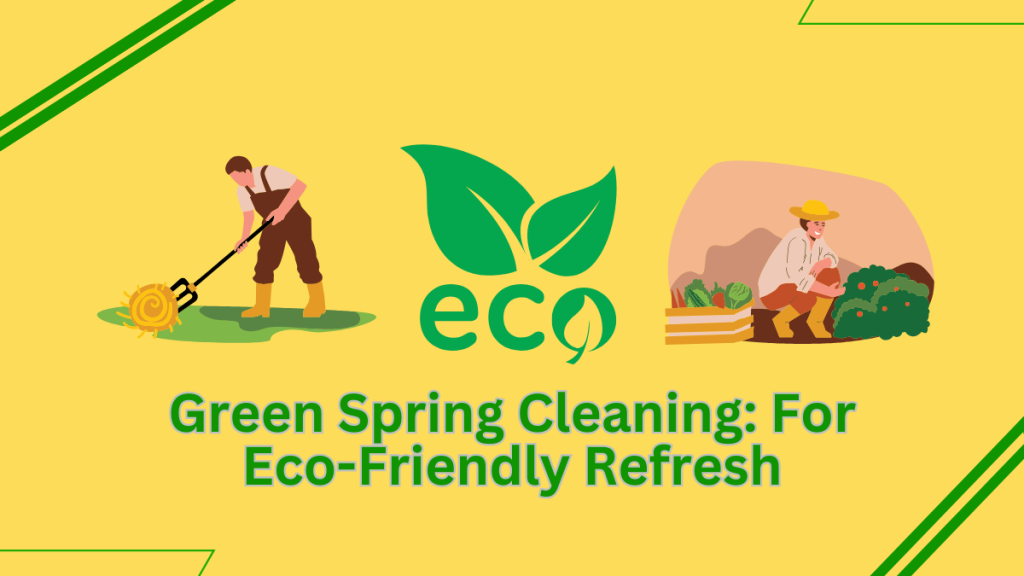 Green Spring Cleaning: Tips for a Thorough and Eco-Friendly Refresh ...