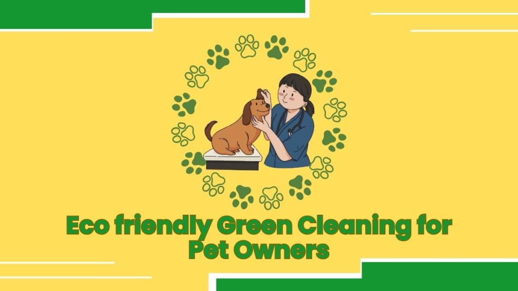 Green Cleaning for Pet Owners: Eco-friendly cleaning solutions that are ...