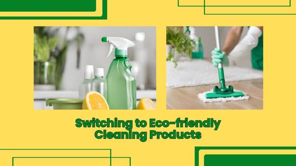 Dangers of Conventional Cleaning Products Switching to Eco-friendly ...