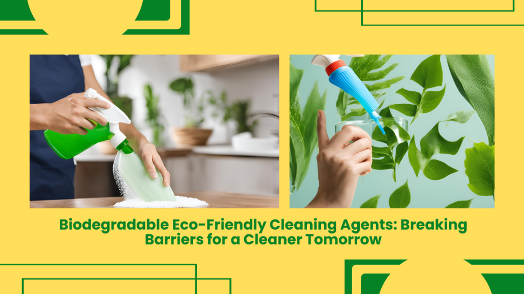 Biodegradable Eco-Friendly Cleaning Agents: Breaking Barriers for a Cleaner Tomorrow-1